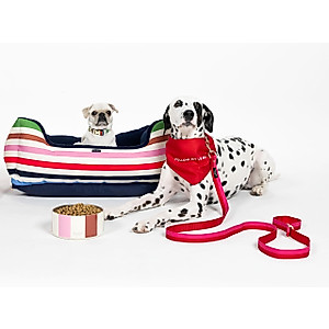 kate spade new york Dog Dish for Food and Water, Stainless Steel Bowl with Non-Slip Base, 2 Cup (16oz) Capacity, Small Pet Food Bowl or Water Dish for Dogs, Adventure Stripe