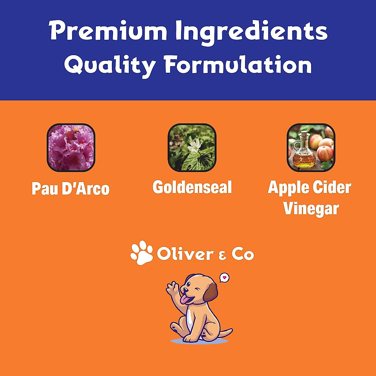 Natural Yeast Infection Treatment for Dogs | Helps to Support Itch Relief, Scratching Relief & Much More | Ear Infection Treatment for Dogs | Dog Ear Infection Treatment | 1 fl oz