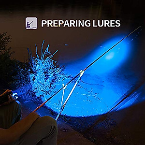 NEXTORCH 405nm uv Light UV Led Blacklight Flashlights Detector Ultraviolet Pocket-Size LED Torch for Pets Urine and Stains Find Stains on Carpet, Rugs 3D Printed Resin C2UV (405nm UV)