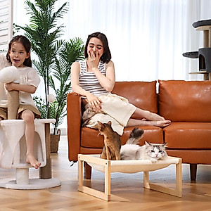 FUKUMARU Cat Bed, Plush Velvet Cat Beds for Indoor Cats, Wooden Cat Hammock, 21 x 16.5 Inch Cat Couch, Suitable for Cats, Dog, Bunny, Rabbit, Kitten and Small Animal