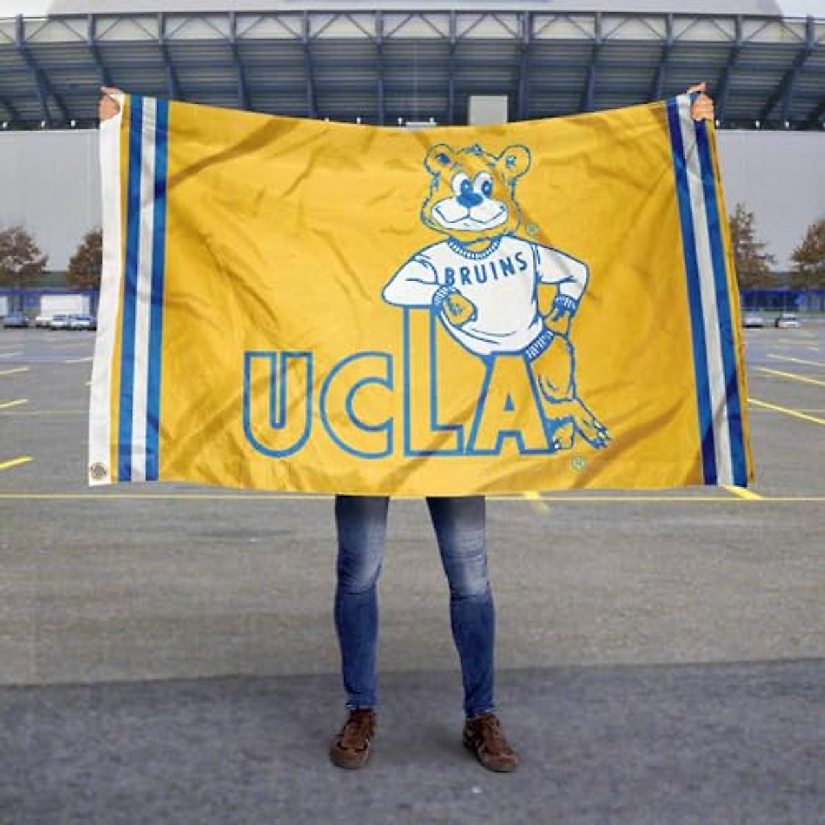 College Flags & Banners Co. Bruins Vintage Retro Throwback 3x5 Banner Flag