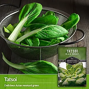 Survival Garden Seeds - Black Knight Tatsoi Seed for Planting - Packet with Instructions to Plant and Grow Delicious Asian Mustard Greens in Your Home Vegetable Garden - Non-GMO Heirloom Variety…