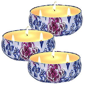 Outdoor and Indoor Citronella Candles, 13.5 oz Scented Candle Set, 3 Jars Candles for Patio Garden Party Yard Home Bedroom, Valentine's Day Gift, Birthday Gift.