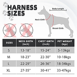 Juqiboom No Pull Dog Harness with A Free Heavy Duty 5ft Dog Leash, Adjustable Soft Padded Dog Vest, Reflective No-Choke Pet Oxford Vest with Easy Control Handle for Small and Large Dogs (Red, Medium)