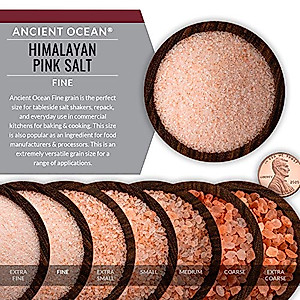 SaltWorks Ancient Ocean Himalayan Pink Salt, Fine Grain, 5 Pound Bag