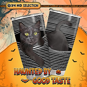 34HD Black Cat Tumbler with Lid, 20 oz Stainless Steel Vacuum Insulated Hide and Seek Mug Kitty, Funny Cat Gifts for Men Women Mothers Day Birthday Christmas