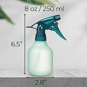 Rayson Empty Spray Bottle Refillable Container, Fine Mist Sprayer Trigger Squirt Bottle for Taming Hair, Hair styling, Watering Plants, Showering Pets (1 Pack, Green)