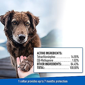 Adams Plus Flea & Tick Collar for Dogs, 7-Month Protection, Adjustable Collar Fits Large Dogs & Puppies, Kills & Repels Fleas, Flea Eggs, Flea Larvae and Ticks, Kills Tick Larvae and Tick Nymphs, Blue