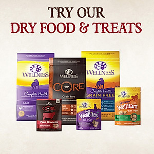 Wellness Natural Pet Food 95% Beef Natural Wet Grain Free Canned Dog Food, 13.2-Ounce Can (Pack of 12)