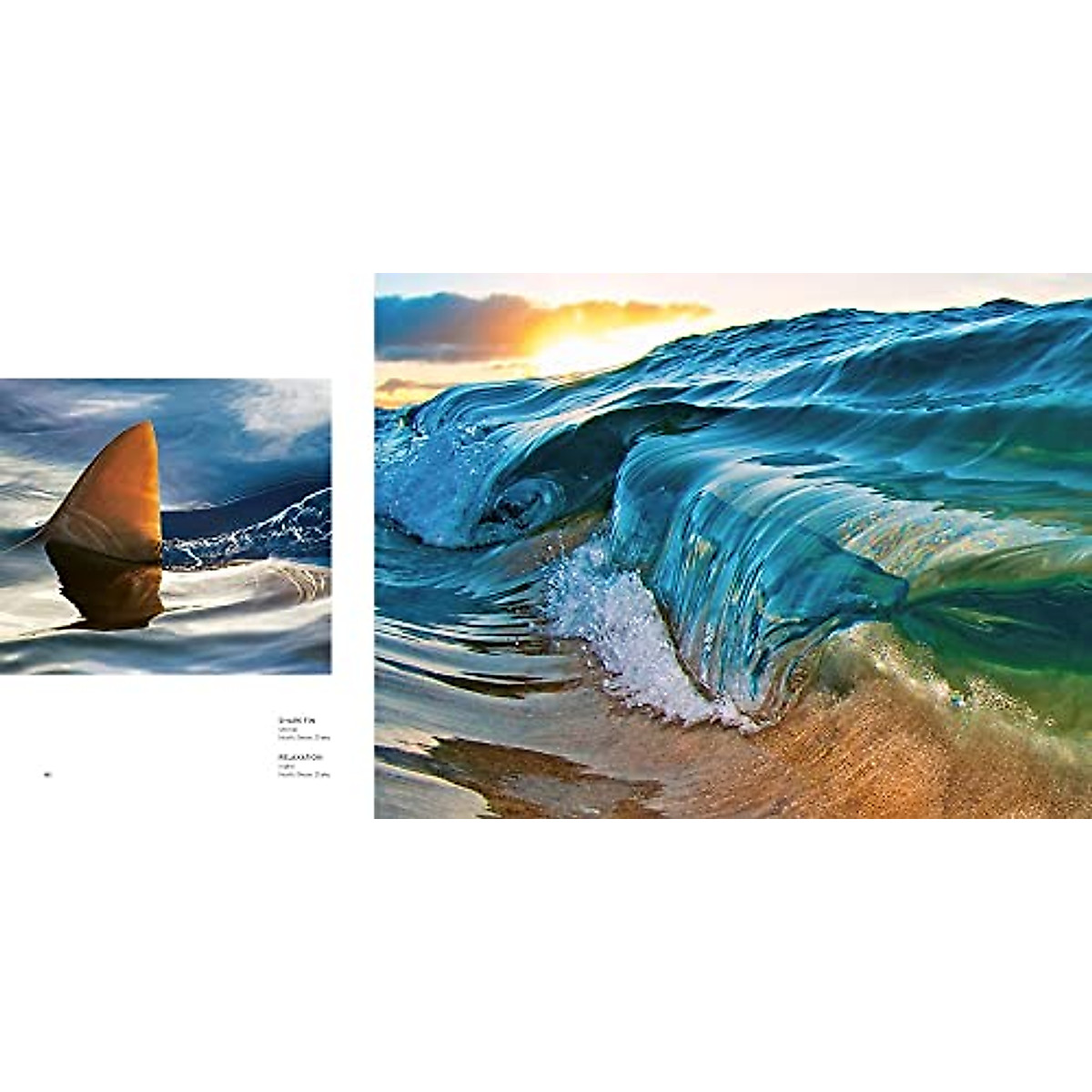 Clark Little: The Art of Waves