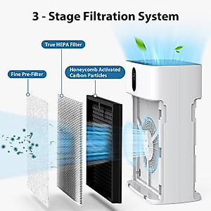 HY4866 True HEPA Air Purifier Replacement Filter Compatible with MORENTO HY4866 Air Purifier And YIOU M1 Air Cleaner, 4 Pack