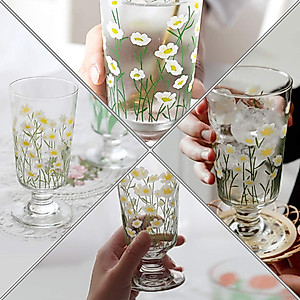 Cabilock Glasses Goblets Vintage Drinking Glass Daisy Beverage Glasses Water Cup Coffee Milk Tumbler for Wine Beer Cocktails Iced Juice (200-300ML)