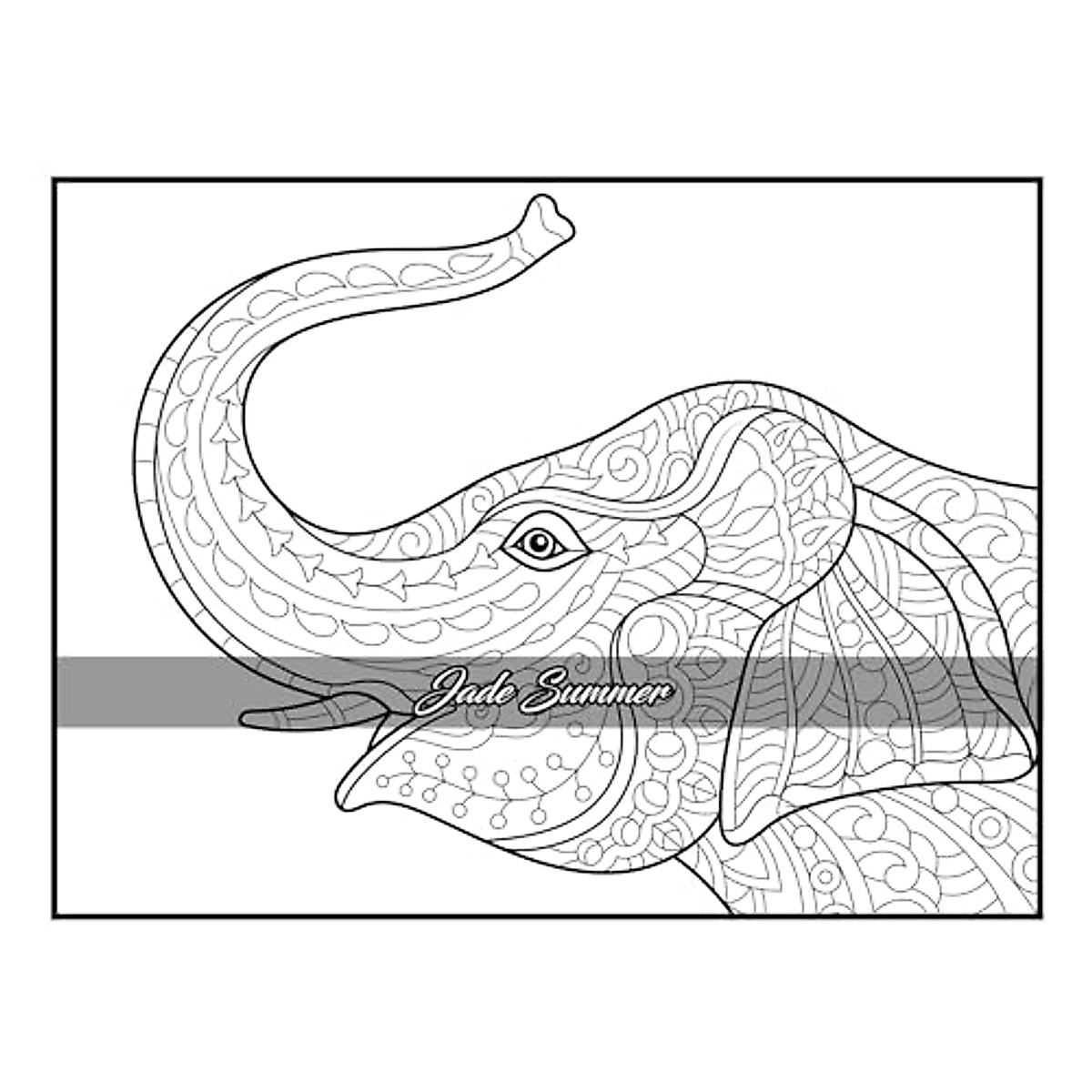 100 Animals: An Adult Coloring Book with Lions, Elephants, Owls, Horses, Dogs, Cats, and Many More!