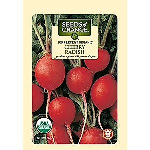 Seeds of Change 1467 Cherry Radish, Red