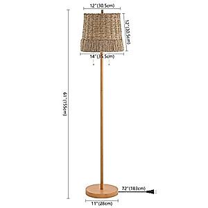JONATHAN Y JYL3091A Ocata 61" 2-Light Coastal Bohemian Iron/Rattan LED Floor Lamp with Pull-Chain Farmhouse, Rustic Standing Reading Lamp LED Bulb Included, Brown Wood Finish
