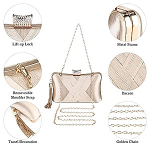 Tanpell Women's Evening Clutch Bags Silk Satin Party Handbags Bridal Wedding Purses with Tassel Pendant Light Apricot