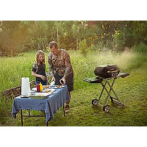 Pit Boss 2B Portable Gas Grill with Collapsible Cart, Black (10919)