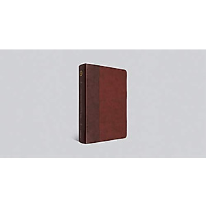 ESV Single Column Journaling Bible, Large Print (TruTone, Burgundy/Red, Timeless Design)