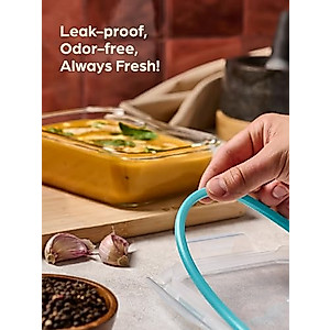 Praknu Meal Prep Storage Container - Pack of 4 - BPA Free - Leak Proof - Dishwasher Safe - Glass Storage Containers with Lids (50oz, 34oz, 17oz, 10oz)