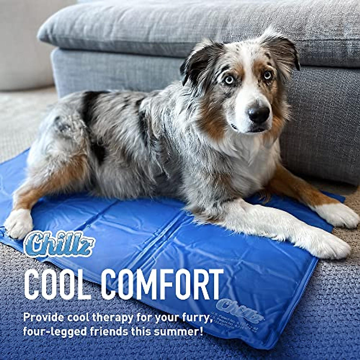Chillz Dog Cooling Mat, Large - Pressure Activated Pet Cooling Mat for Dogs - No Water or Refrigeration Needed - Non-Toxic Gel Cooling Pad, Ideal for Home, Travel and Crates - 36 x 20 Inches