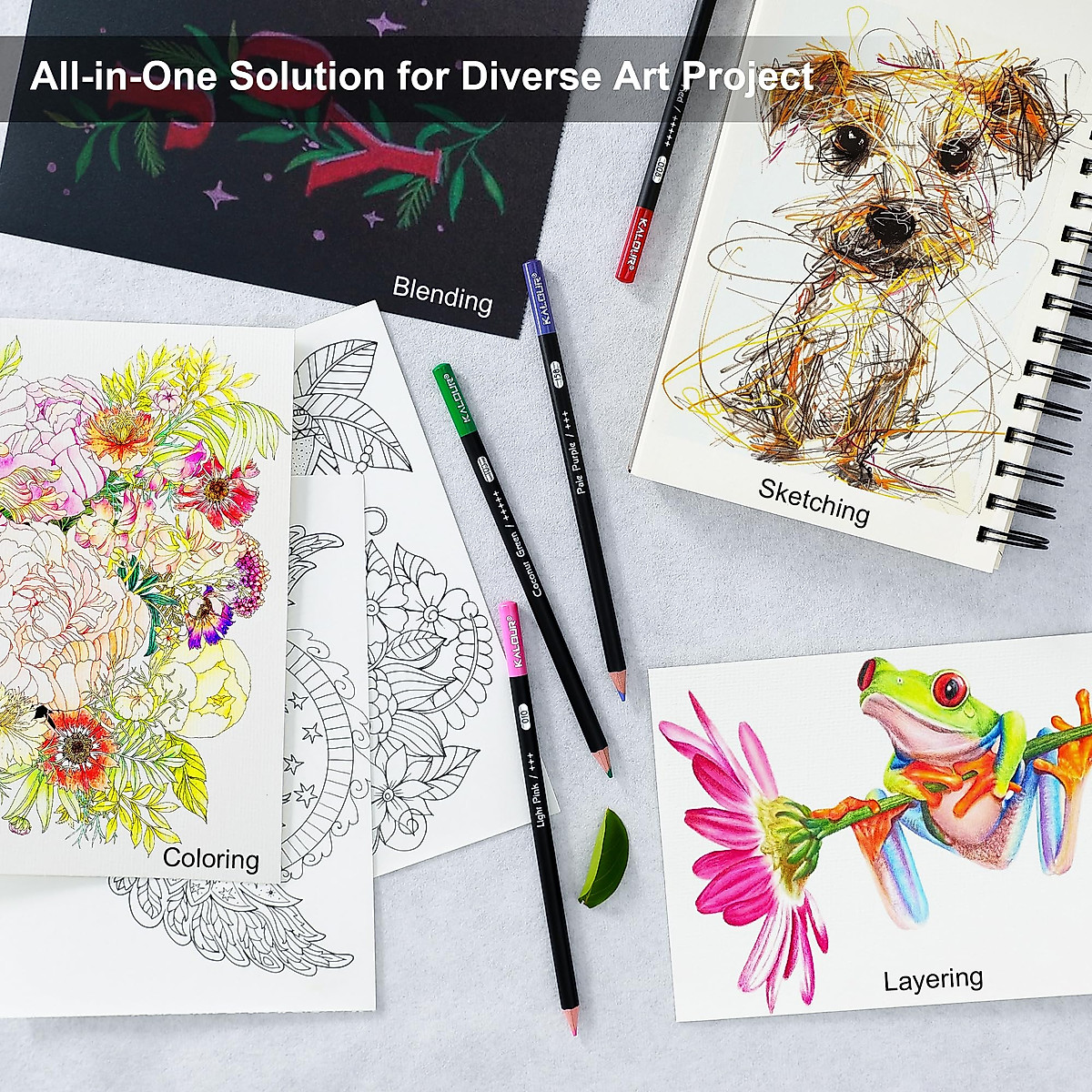 KALOUR 72 Count Colored Pencils for Adult Coloring Books, Soft Core,Ideal for Drawing Blending Shading,Color Pencils Set Gift for Beginners Artists