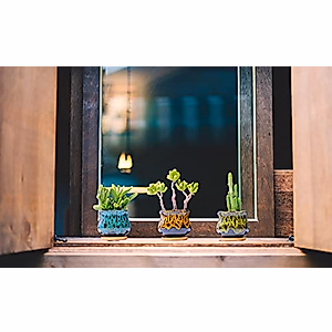 Cute Ceramic Succulent Garden Pots, Planter with Drainage and Attached Saucer, Set of 5 - Plants Not Included (Fambe)