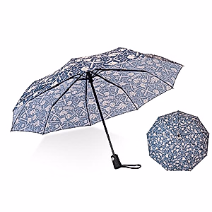 LFLFWY Travel Umbrella – Compact Windproof Umbrella Automatic Open and Close, Lightweight Portable Folding Umbrella, Best Gift Choice