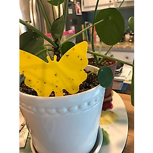 Garsum Sticky Houseplant Traps Sticky Trap Yellow Sticky Bug Traps for Indoor/Outdoor Use