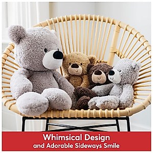 GUND Fuzzy Teddy Bear, Premium Stuffed Animal for Ages 1 and Up, Gray, 13.5”