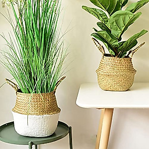 Yesland 2 Pcs Seagrass Plant Basket - Woven Picnic Basket with Handles - Ideal Belly Basket for Storage Plant Pot Basket, Laundry, Picnic, Plant Pot Cover, Beach Bag and Grocery Basket (L)