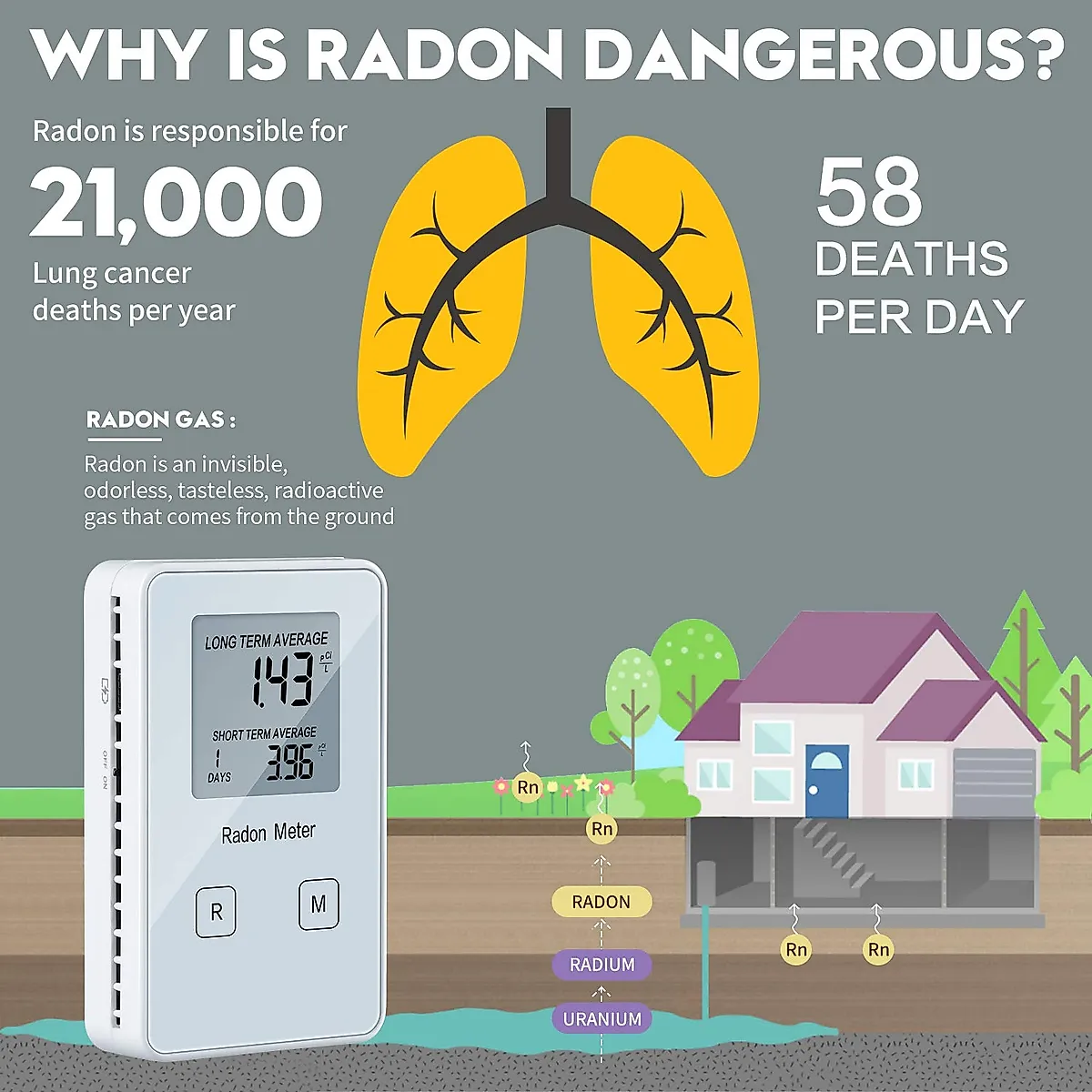Funny Kitchen Home Radon Detector,Portable Radon Meter,Long and Short Term Monitor,Rechargeable Battery-Powered,Radon Test Kit