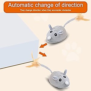 Interactive Cat Mouse Toy, Automatic Cat Toys with Feather Tail, Realistic Mouse Cat Toy Simulates Kitten Toys Self Play, Cat Toys Pet Exercise Toys with USB Charging