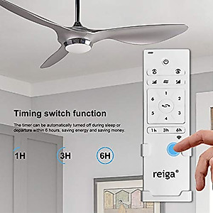 reiga 52-in Silver Ceiling Fan with Dimmable LED Light Kit Remote Control Modern Blades Reversible DC Motor, 6-speed, Timer