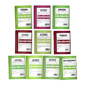 Salad Greens Lettuce Seeds Heirloom Vegetable Seed 23,000 Seeds for Planting Indoors and Outdoor 10 Packs - Buttercrunch, Romaine, Iceberg, (and More) Leaf and Head Variety Pack by Gardeners Basics
