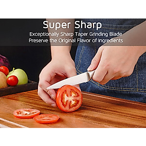 WELLSTAR Utility Knife, 4 Inch Serrated Paring Knife with Super Sharp High Carbon Stainless Steel Blade for Fruit Vegetable Cutting Peeling Slicing – Silver