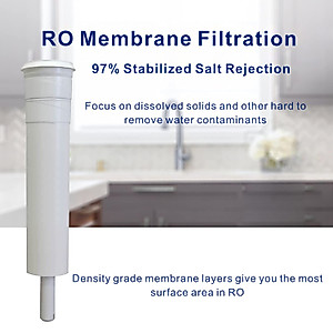 Replacement Filter RO Membrane S-1229RS TFC-50 Microline 435&335 Reverse Osmosis System