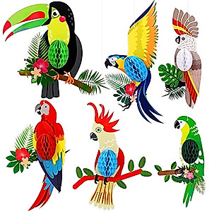 Big Tropical Birds for Luau Party Decorations - Pack of 6, Bird Decorations for Party | Rainforest Decorations for Classroom | Toucan Cutout, Hawaiian Party Decorations | Tropical Party Decorations