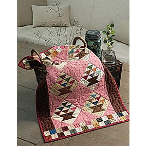 Schoolgirl Sampler: 72 Simple 4" Blocks and 7 Charming Quilts