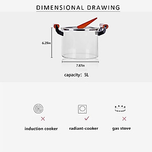 Glass Saucepan for cooking Glass Cooking with Cover 5L/170FL OZ Heat Resistant Glass Cookware for Electric Cooktop Ceramic, Refrigerator and Microwave Safe, for Pasta Noodle, Soup, Milk, Baby Food
