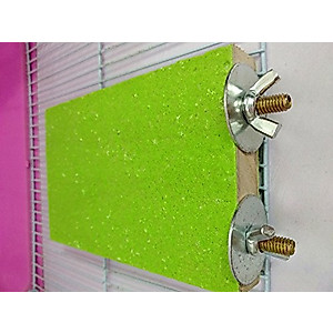 Hypeety Colorful Bird Perch Stand Platform for Parrot Macaw African Greys Budgies Parakeet Cockatiels Natural Wood Paw Grinding Clean Cage Toy (Random Color)(B)