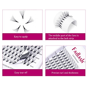Lash Extension 10D 0.07 Premade Fans Eyelash Extensions D Curl Mix Tray Volume Short Stem (10D-0.07-D, 8-14mm Mix)