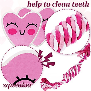 Whaline 5 Pack Valentine's Day Dog Toy Kit Puppy Chew Pink Heart Squeak BoneBall Shaped Cotton Rope Chewing for Small Medium Puppy Teeth Cleaning Supplies