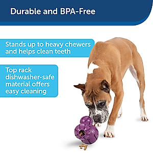 PetSafe Busy Buddy Barnacle - Dog Chew Toy - Treat Dispensing Dog Toys