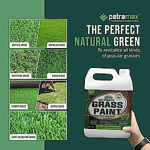 PetraTools Grass Paint Max Strength, Green Grass Lawn Spray & Dog Spot Repair, Lawn Paint, Spray on Grass, Green Lawn Spray, Grass Paint for Lawn, Lawn Spray Paint, Green Dye for Lawn (1 Gal)