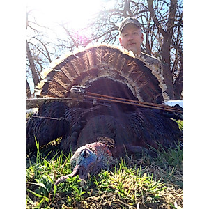 Wasp Archery SharpShooter Traditional 150 Grain Cut On Contact Broadhead