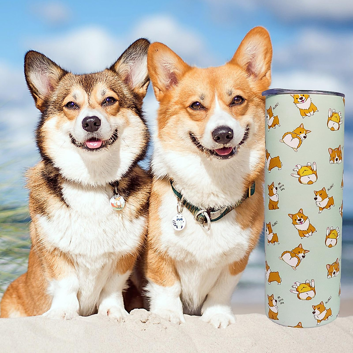 IchDich Corgi Tumbler With Lid and Straw 20 oz Insulated Dog Tumbler Stainless Steel Corgi Skinny Tumbler Water Bottle Travel Mug Wine Cups Corgi Gifts for Corgi Lovers