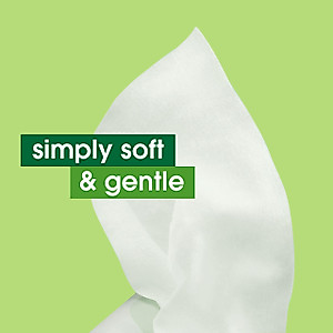 Simple Kind to Skin Facial Wipes Gentle and Effective Makeup Remover Cleansing Free from color and dye artificial perfume and harsh chemicals, 25 Count (Pack of 2)
