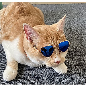Funny Cat Sunglasses Dog Glasses Metal Retro Triangular Glasses Puppy Pet Eyewear Costume for Cosplay Toys Photos Props