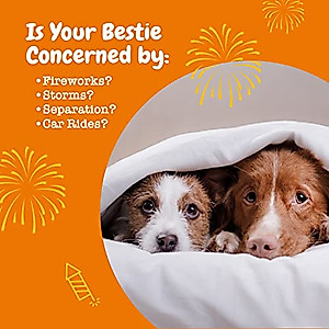 Zesty Paws Calming Chews for Dogs - Composure & Relaxation for Everyday Stress & Separation - with Ashwagandha, Organic Chamomile, L-Theanine & L-Tryptophan – Turkey - 90 Count