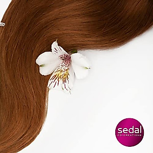 Sedal Co-Creations Conditioner Ceramides, Repairs and Strengthens, All hair types, 2-Pack of 22 FL Oz, 2 Bottles